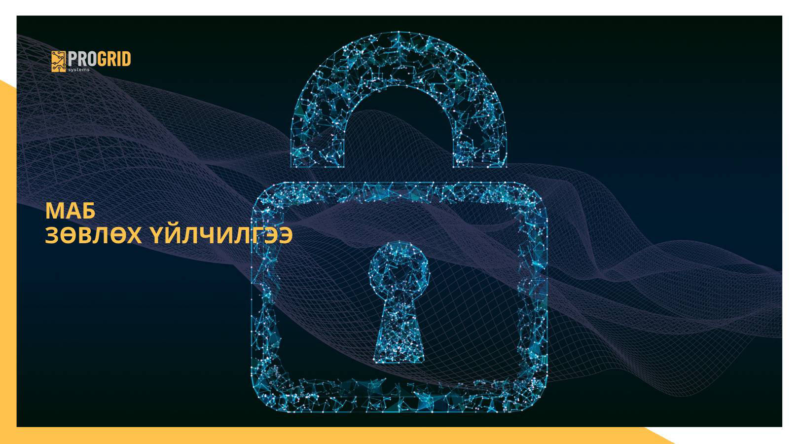 ПРОГРИД СИСТЕМС ХХК, Progrid Systems LLC,